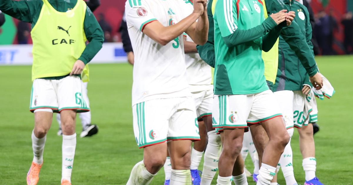 كرة القدم/كاس إفريقيا للأمم 2025 /الجزائر: "الخضر" يؤكدون طموحاتهم ...